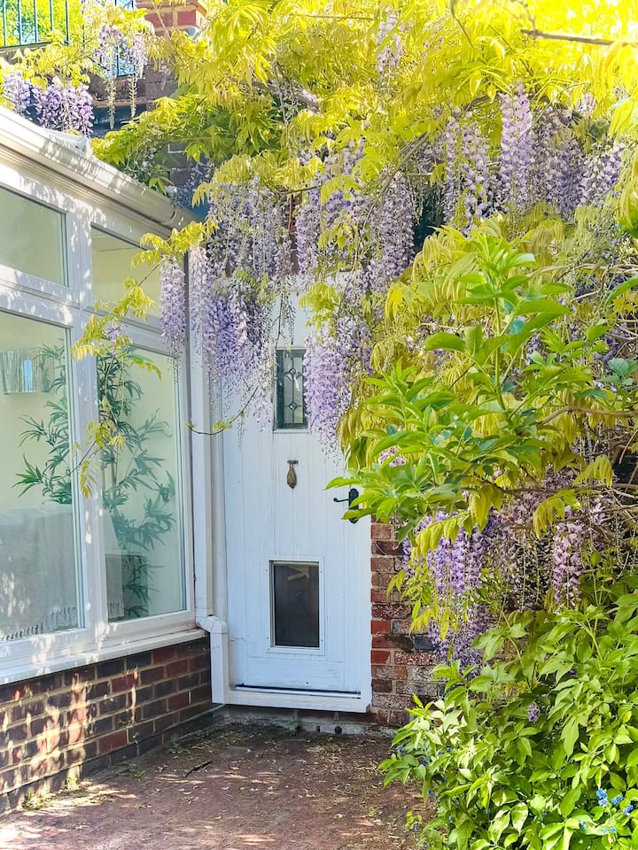 Spacious Family Retreat - Terrace & Countryside - Dover