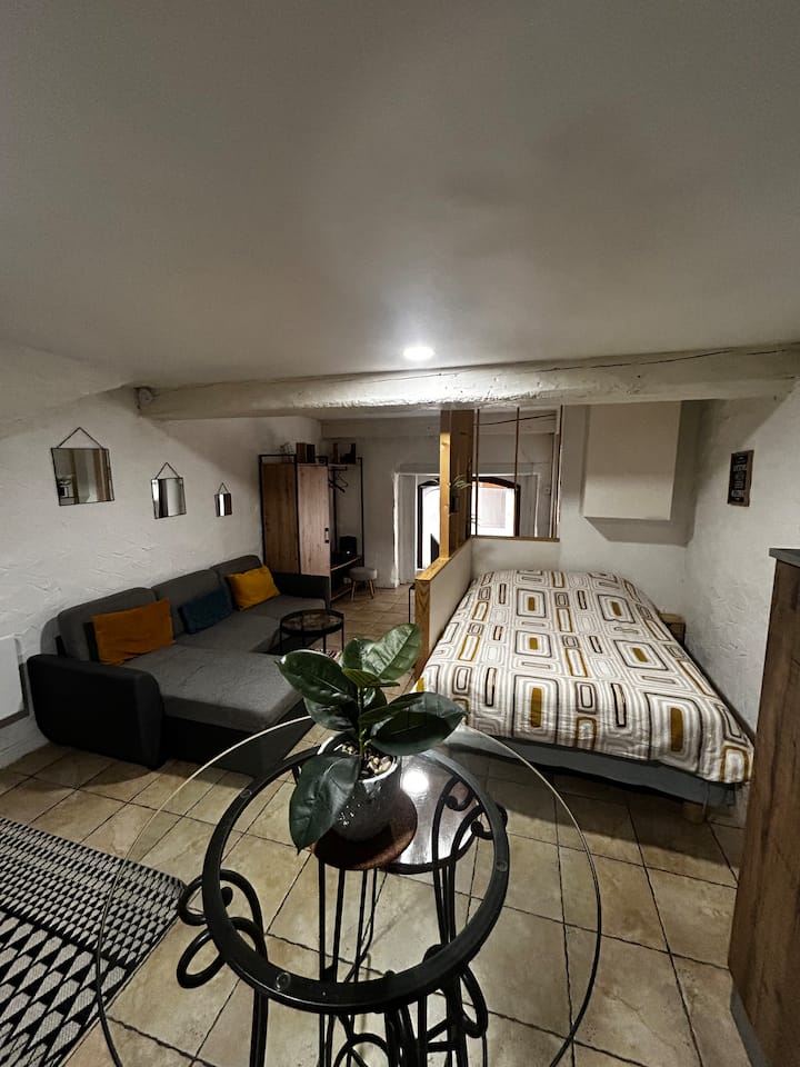 Issoire Studio Hyper Centre - Saint-Babel