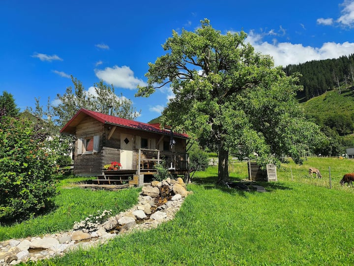 Coziest Tiny House In The Oberallgäu - Jungholz