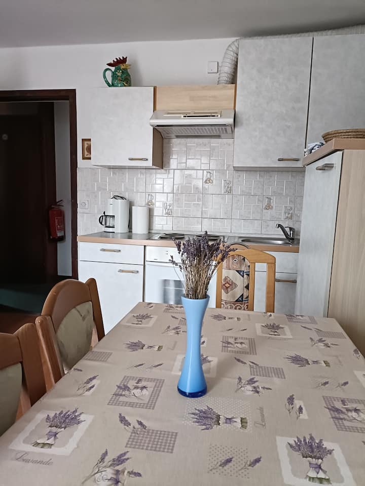 Sisters Simenc - Apartment Family - Bled