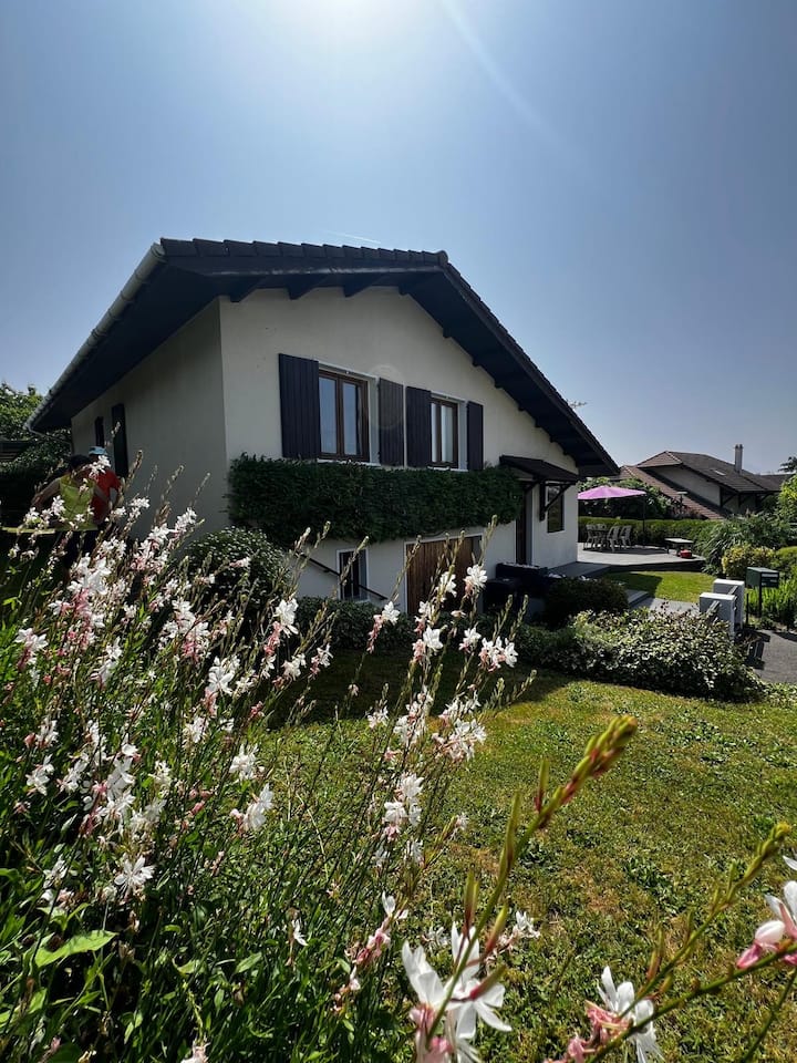 Cette Maison Avec Climatiseur Mobile Est Pour Vous - Annecy