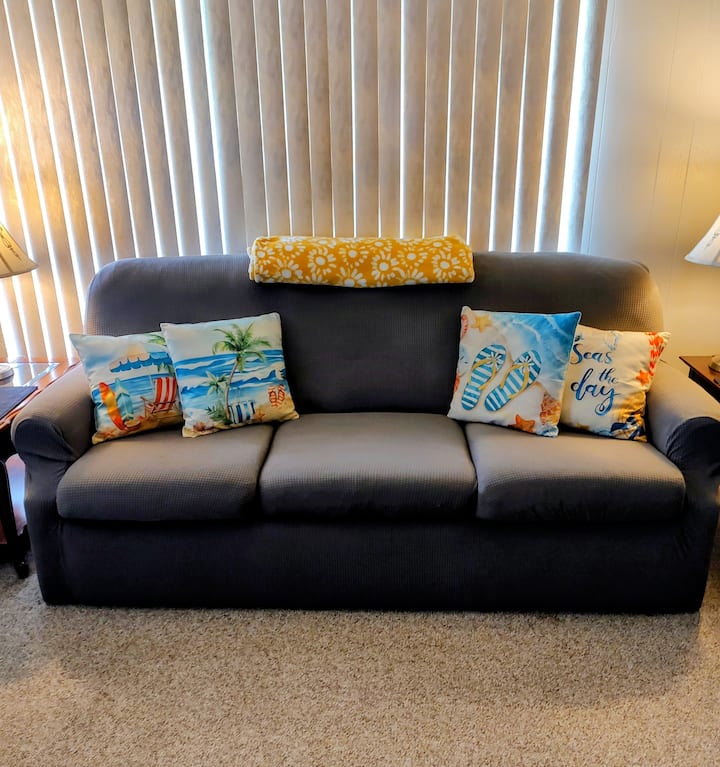 Sunshine Shack! All The Best Of Florida Life! - Zephyrhills, FL