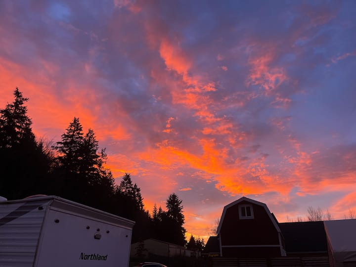 Glamp On The Homestead! - Port Townsend