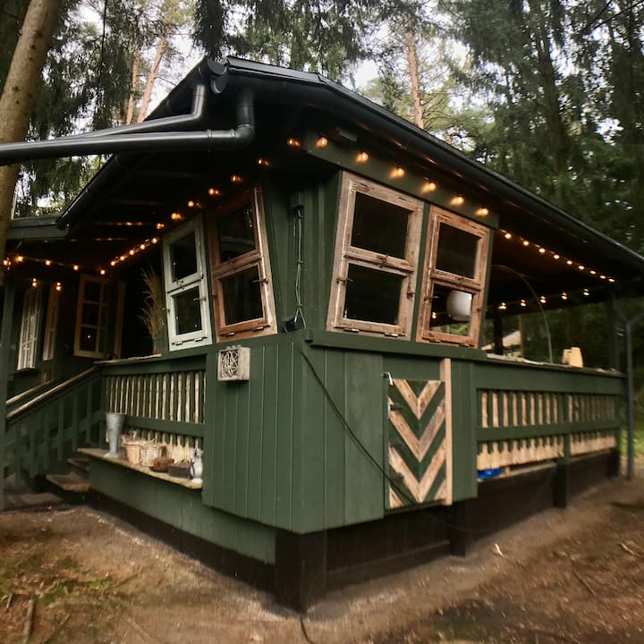Nest Im Wald - Bielefeld