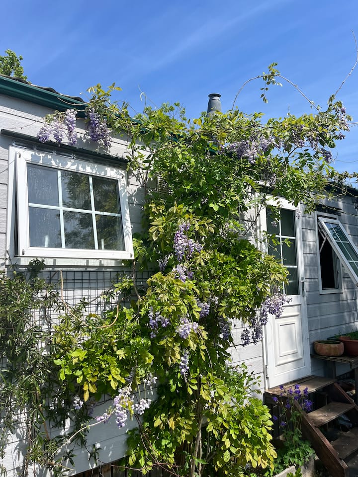 Chalet Met Terras Direct Aan Zwem- En Vaarwater - Maarssen