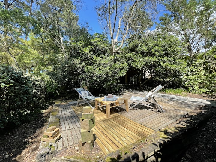 Maison à 800m De La Plage, Dans La Pinède. - Seignosse