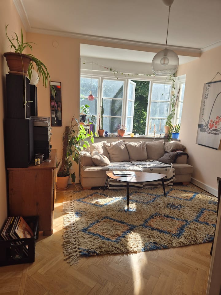 Ljus Lägenhet - Light Apartment Central Malmö - Malmö