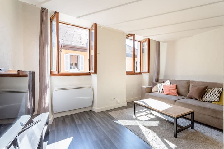 Le Saint Jean - Appartement Rue Carnot Pour 2 - 4 - Cran-Gevrier