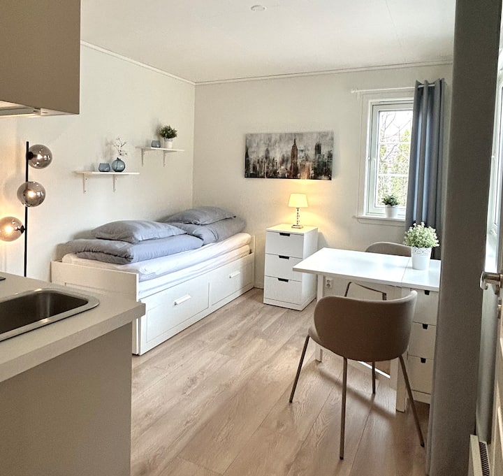 Fin, Nyoppusset Leilighet, Fri Parkering Og Lading - Trondheim