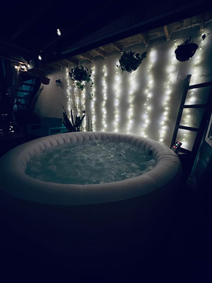 Plant House 🪴 - Rosarito