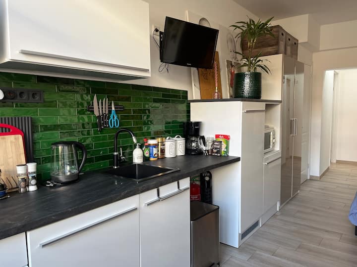 Nice Well-accessible Gastsuite/studio In Amsterdam - Zaandam