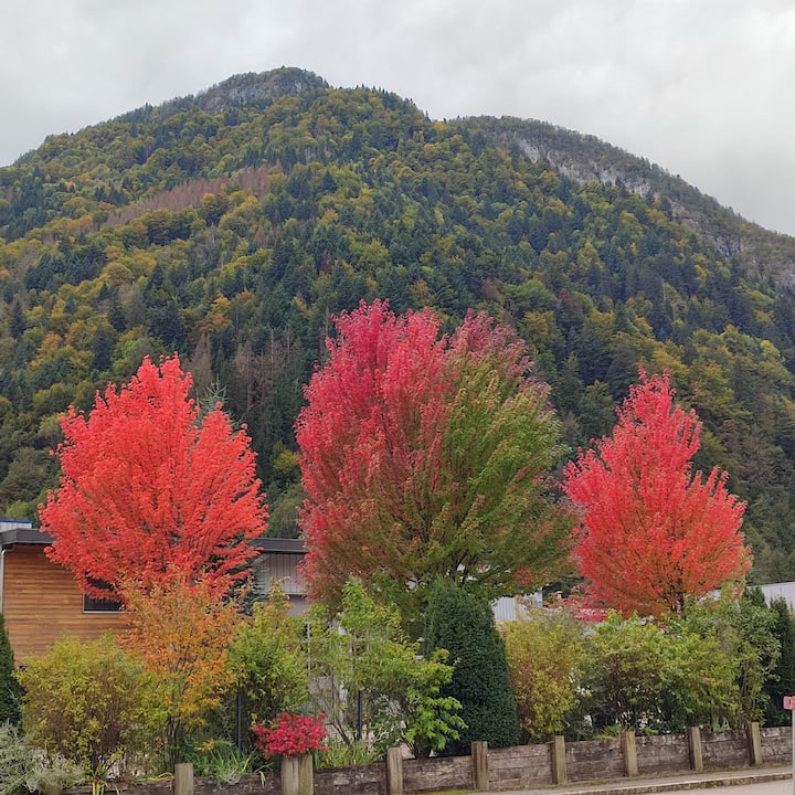 Appartement T3 3*** Rez De Chaussée De Maison - Thônes