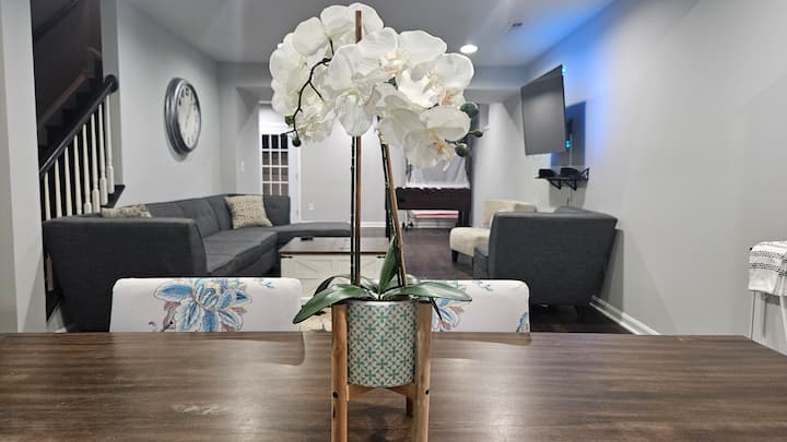 Full Basement With One Bedroom, Private Bathroom - Manassas, VA