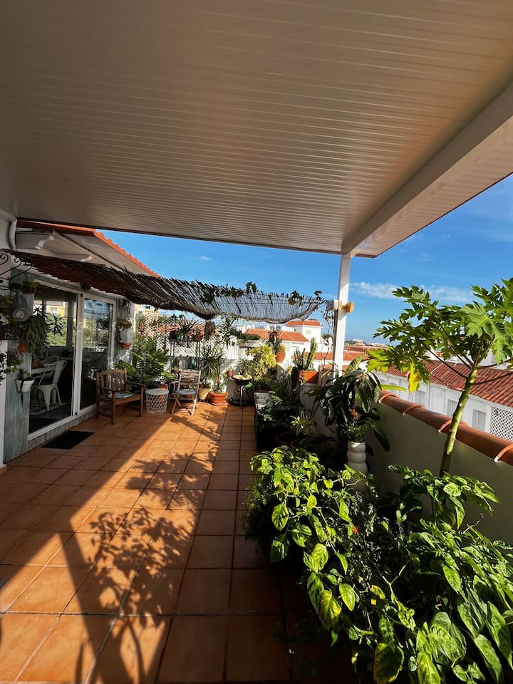Las Orquídeas - Torremolinos