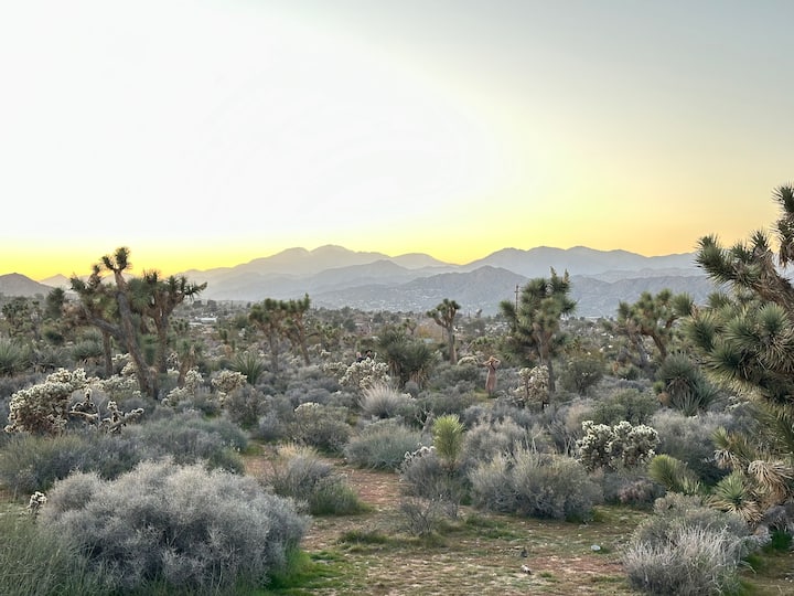 Epic Views! Desert Escape W Outdoor Vibes - Yucca Valley, CA