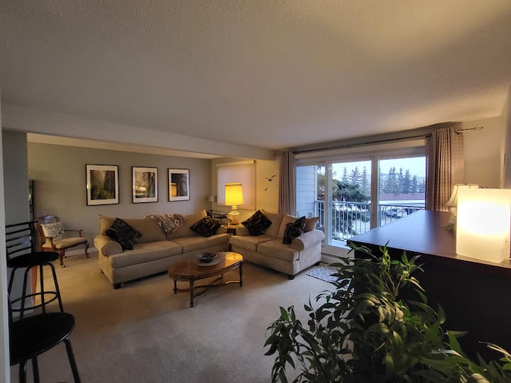 Spacious,  2 Bdrm Condo! Near U/a Hospital & Cross - Edmonton