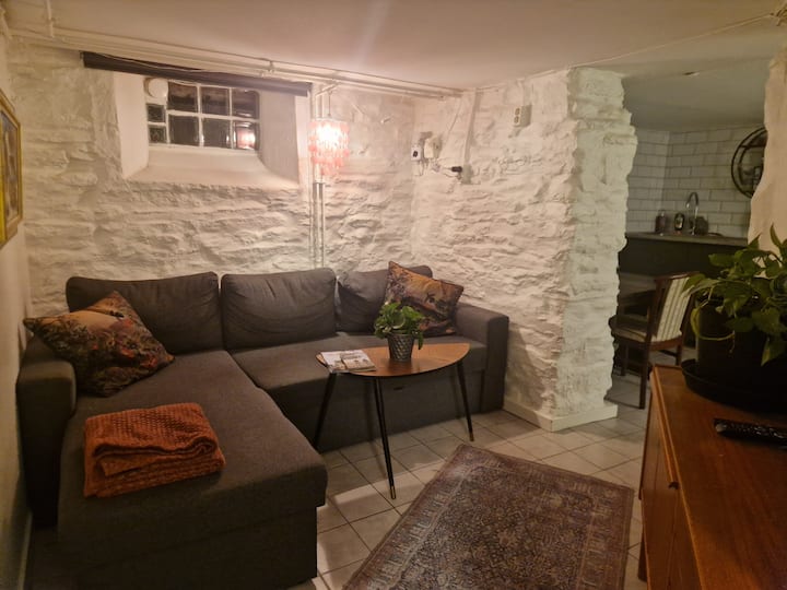 Nyrenoverad, Mysig Och Central Källarlägenhet - Skövde