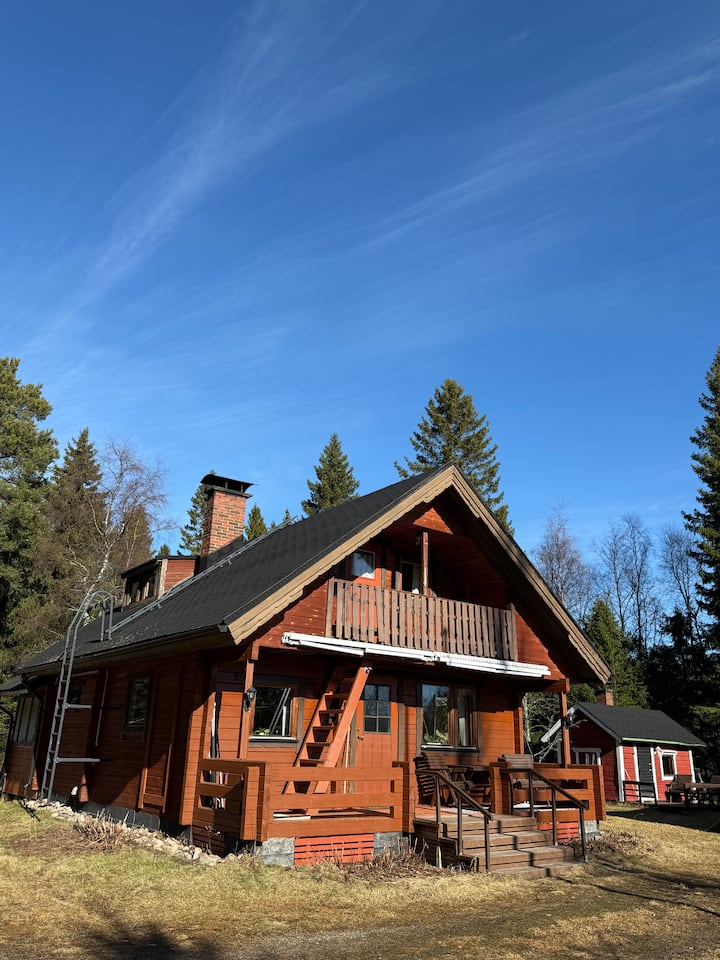 Varessäikässä Kuulet Linnut Ja Koet Kevätmuuton - Oulu