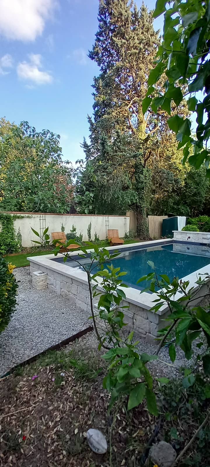 Havre De Paix Centre- Ville, Piscine De Caractère - Toulouse
