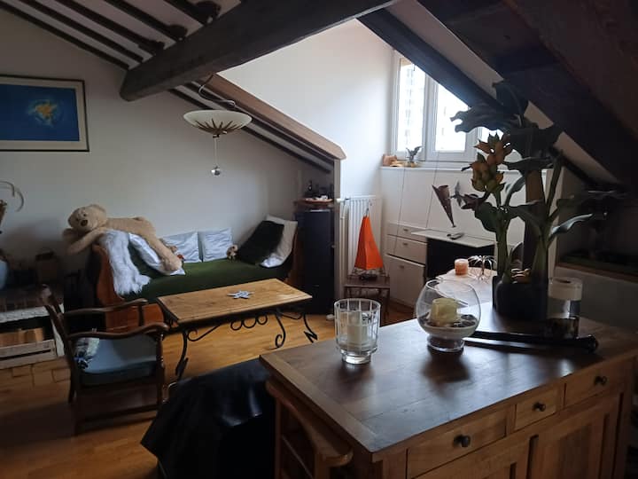 Le Chalet De Perle D'or: Traversant, Vue & Garage! - Lyon