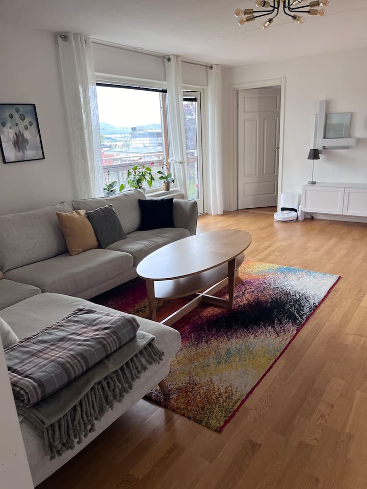 Stor Och Fräsch 3:a Med Balkong Och Loftgång - Göteborg