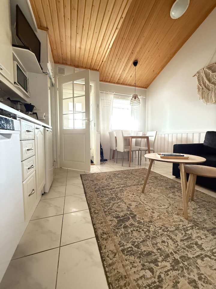 Levi Moonlight Apartment 403 - Sirkka
