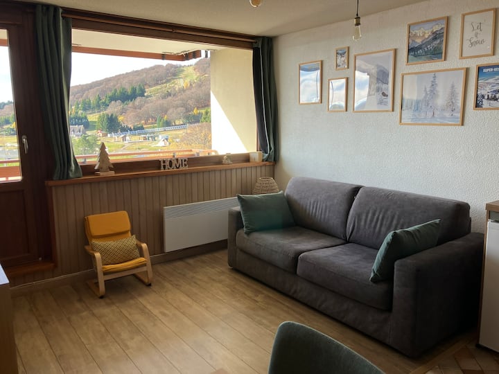 Studio Au Pied Des Pistes Vue Sur Lac Avec Wifi - Chambon-sur-Lac