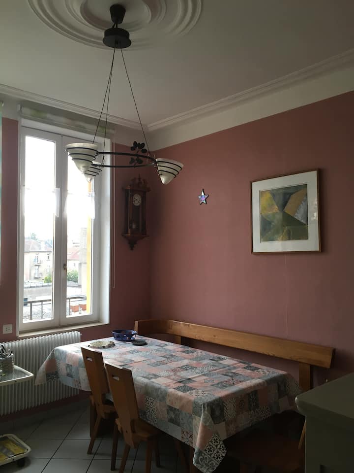 Chambre Cosy Dans Appartement Bourgeois - Metz