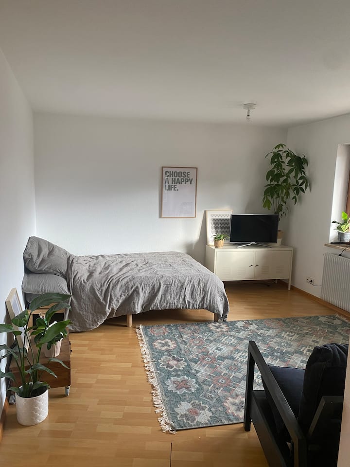 Cosy Apartment Next To Basel - Rheinfelden
