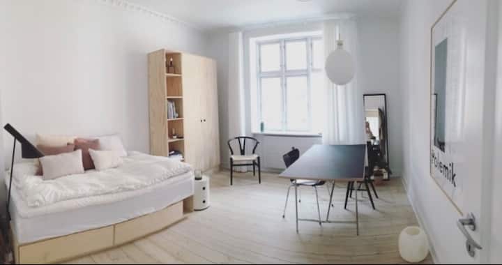 Skøn Nyrenoveret Lejlighed Med Fantastisk Gårdhave - Copenhague