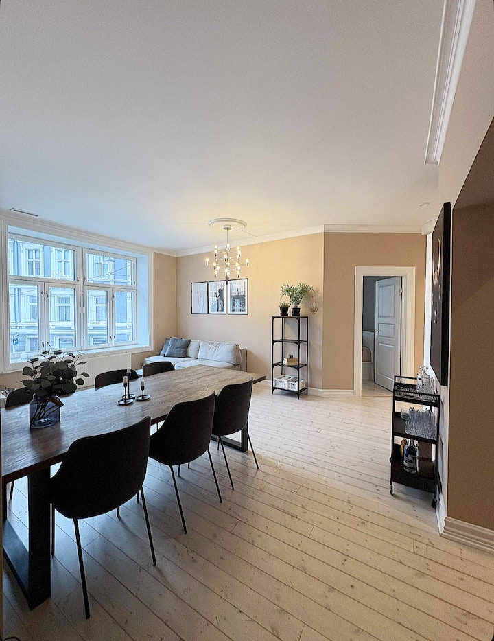 Stor Leilighet Med 3 Soverom I Hjertet Av Oslo - Oslo