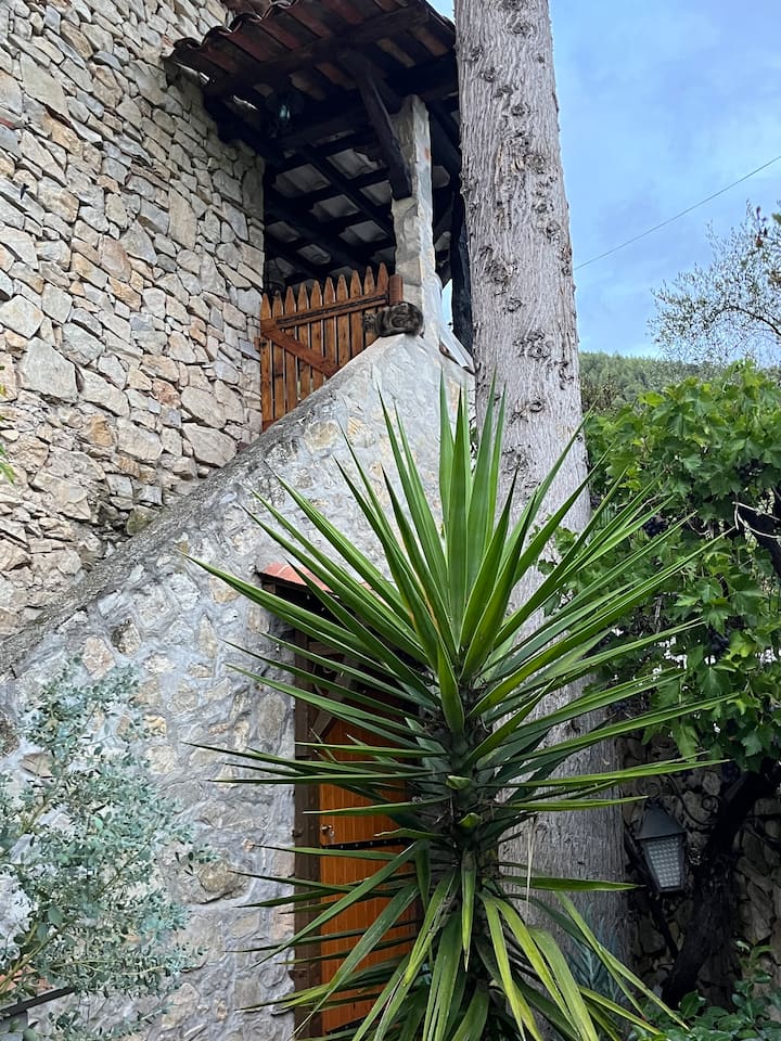 Gite L'oliveraie - Sospel