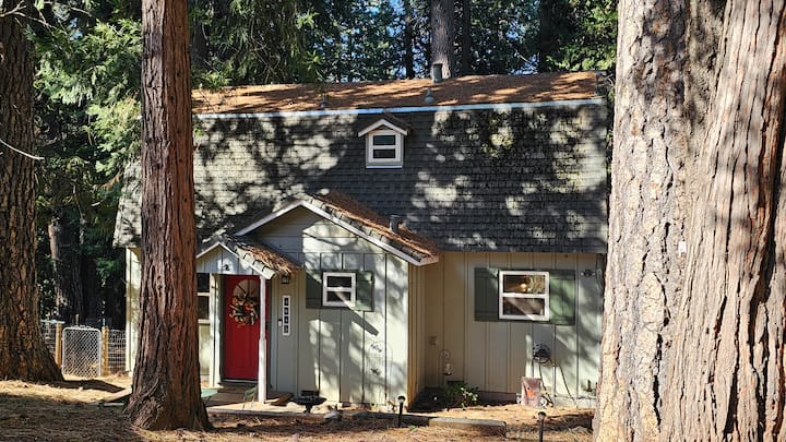 Little Green Cabin-by Apple Hill, Tahoe&tree Farms - Pollock Pines, CA