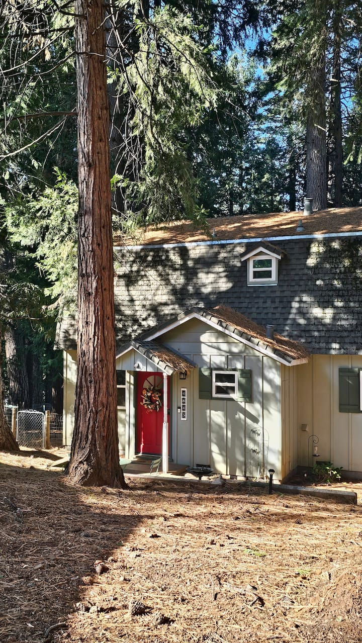 Little Green Cabin-by Apple Hill, Tahoe, Snow - Pollock Pines, CA