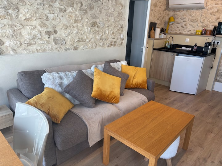 Duplex Entouré De Verdure Avec Jacuzzi Et Jardin - Orléans