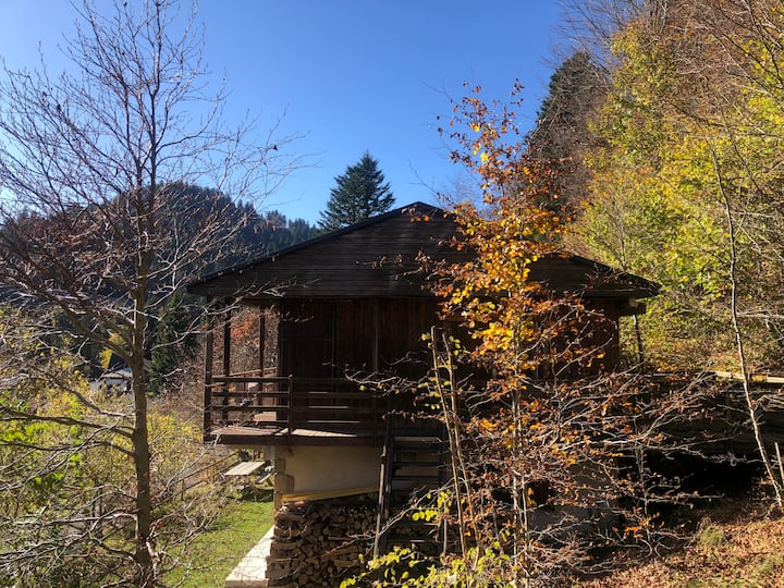 Chalet Du Bec De L'aigle Au Lioran (2/14 Pers) - Département Cantal