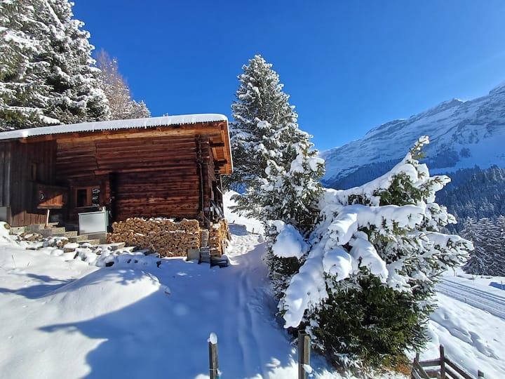 A Little Corner Of Paradise In The Middle Of The Mountains! - Les Diablerets