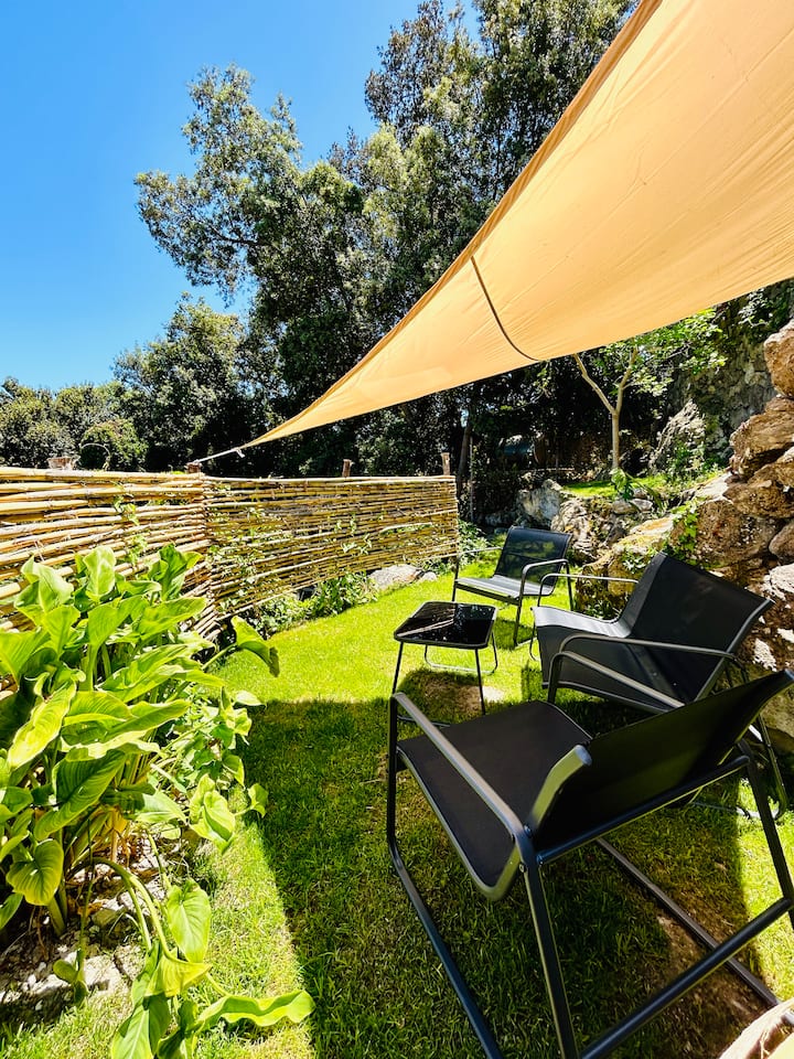 Casetta Degli Aranci - Lacco Ameno