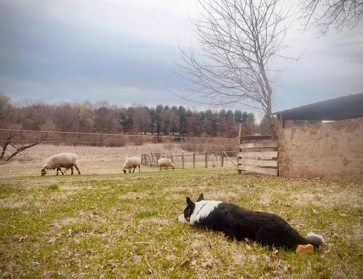 Stone Wall Barn-farm Stay 25 Minutes To Hershey - Fredericksburg, PA