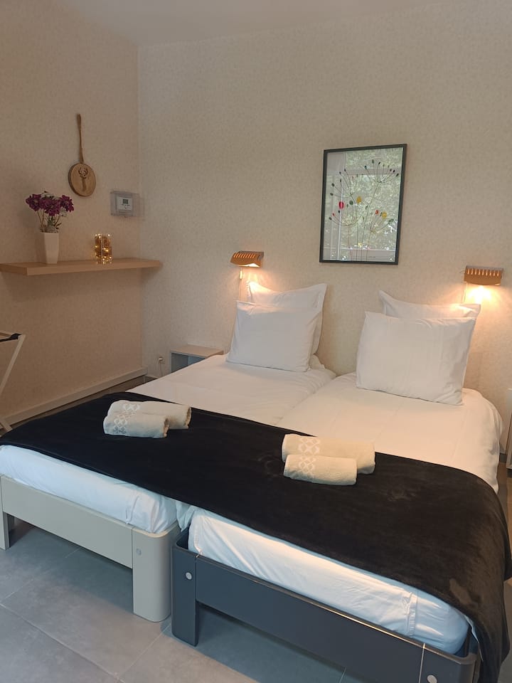 Au Centre De Liège Et En Bord De Meuse. - Province de Liège