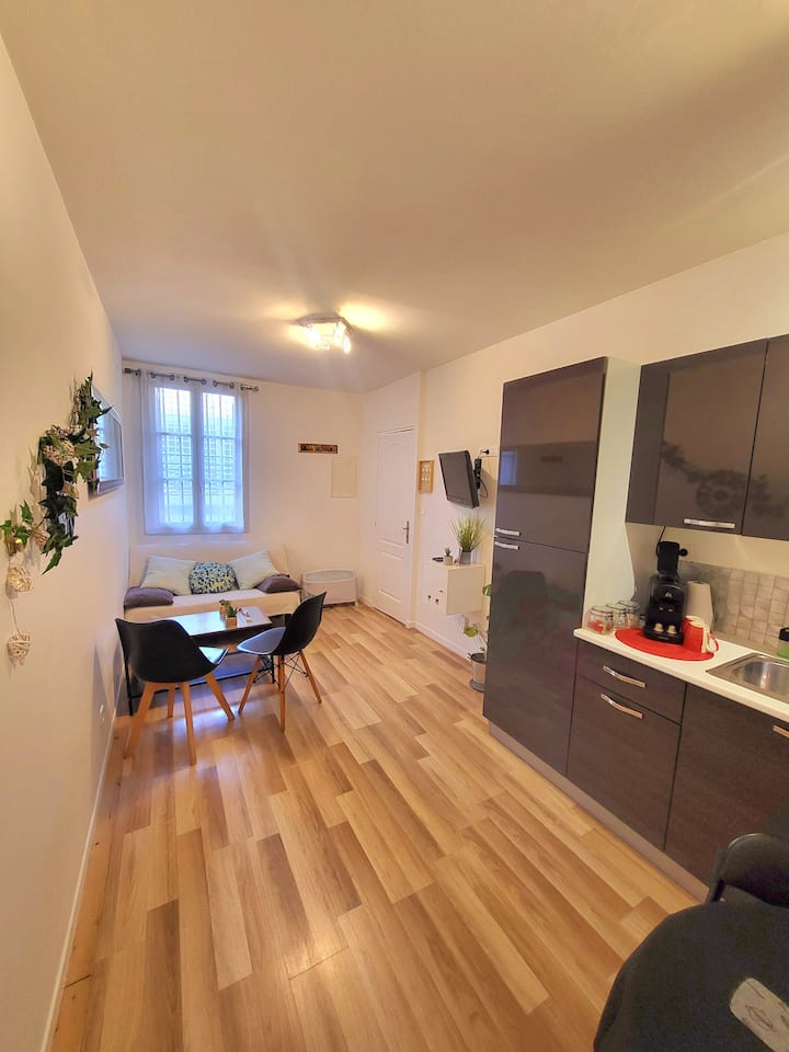 Charmant T2 Au Calme Et Traversant ! - Aix-en-Provence