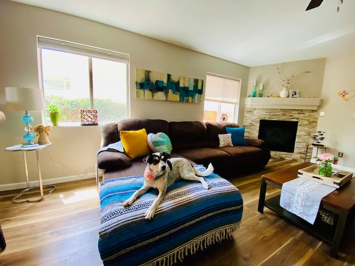 Homeyhaven Pet-friendly Fast Wi-fi No Extra Fees - Albuquerque, NM