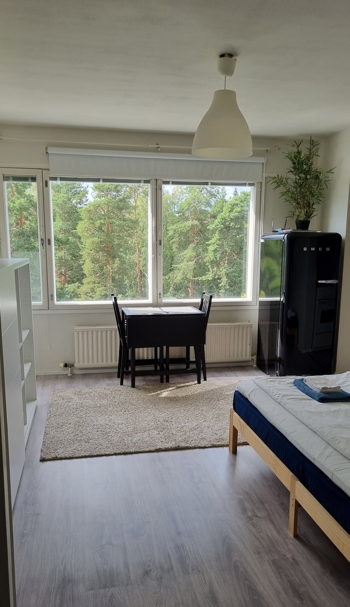 Ylimmän Kerroksen Yksiö Lähellä Matkakeskusta - Lappeenranta