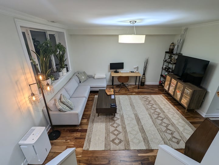 The Entire Floor Of A Comfortable & Modern Duplex - Oak Park, IL