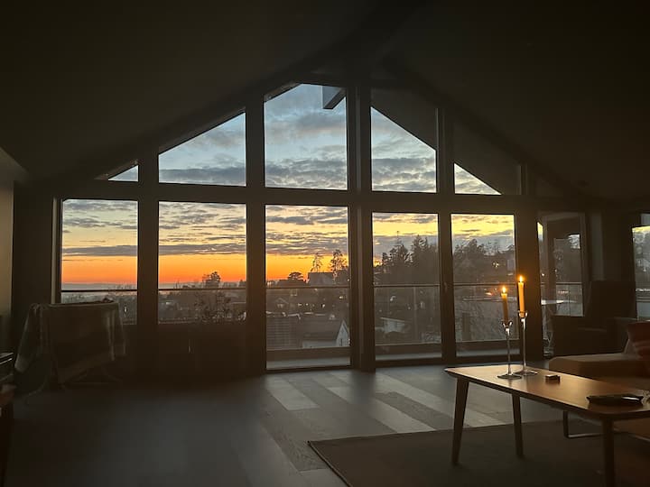 Villa With Splendid View, Garden And 2 Terraces - Oslo