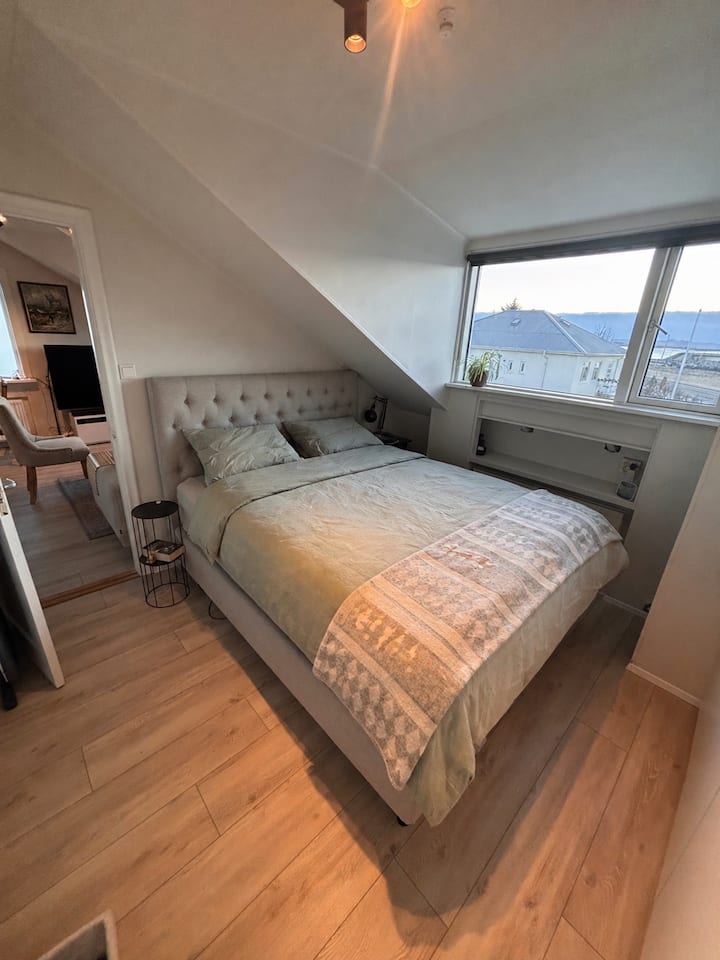 Beautiful Ocean View, 20 Min Walk To Downtown. - Reykjavik