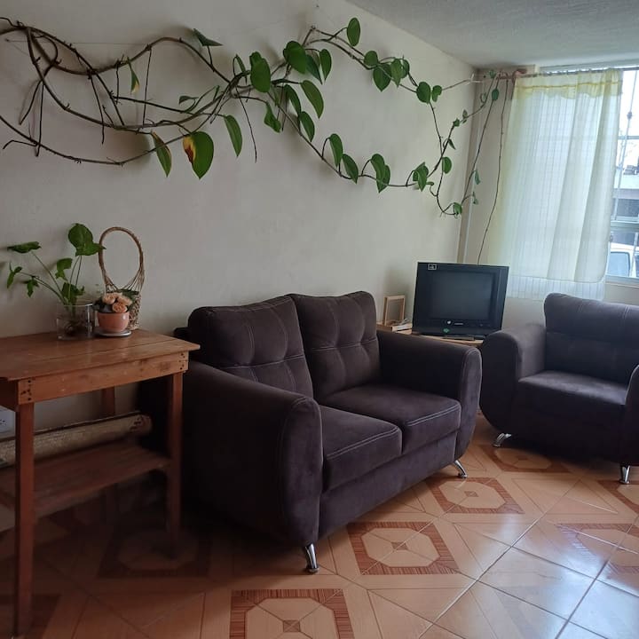 Los Girasoles Departamento Amueblado En Unidad Bosques De Zacatlan. - Zacatlán