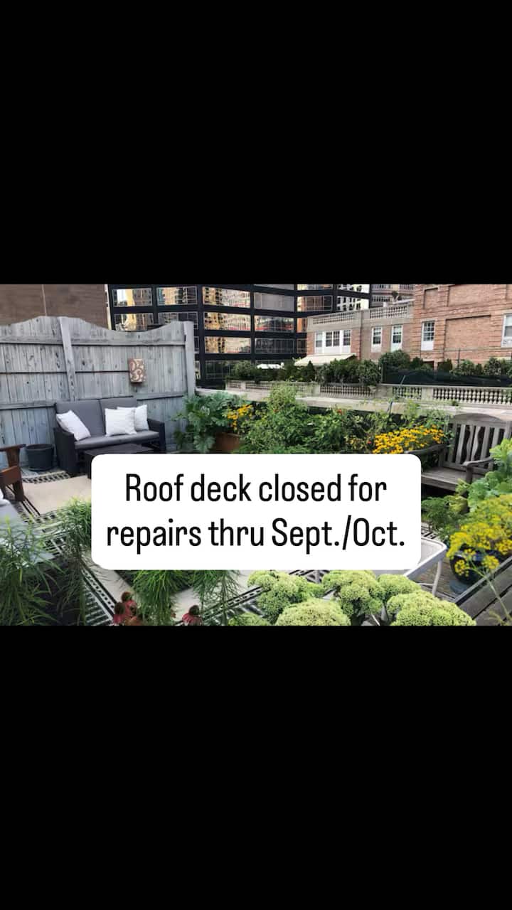 Penthouse Studio East 50s With Roof Terrace - Upper West Side - Manhattan
