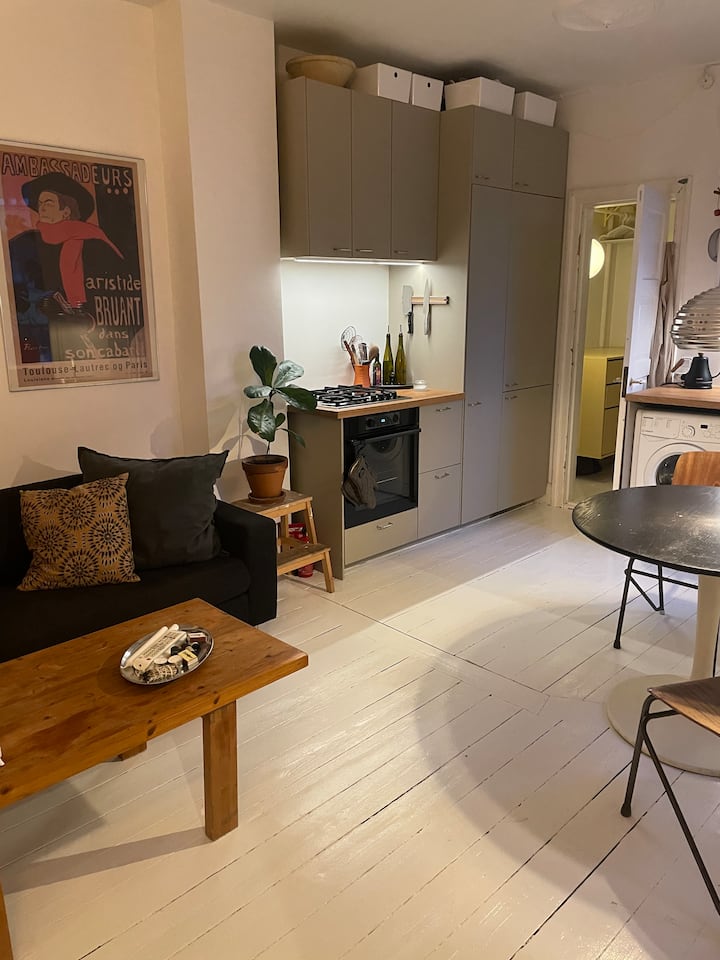 Cozy And Clean Apartment In Central Copenhagen - Copenhague