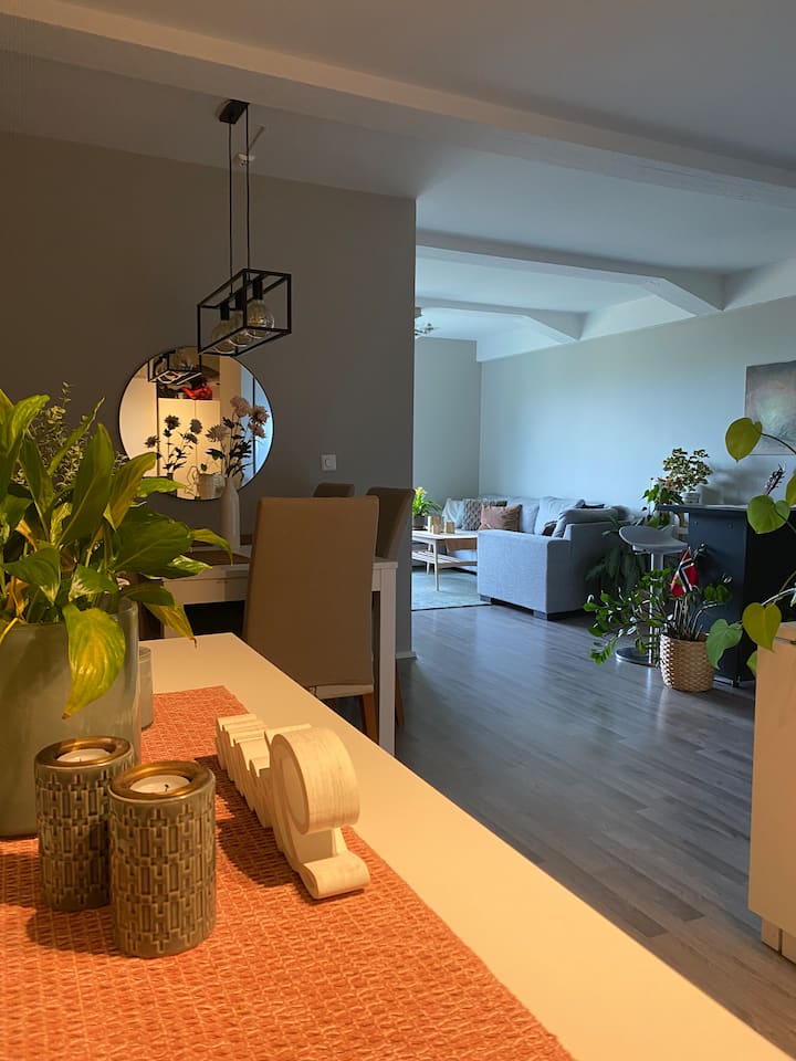 53m2 Leilighet Med Nydelig Utsikt - Oslo